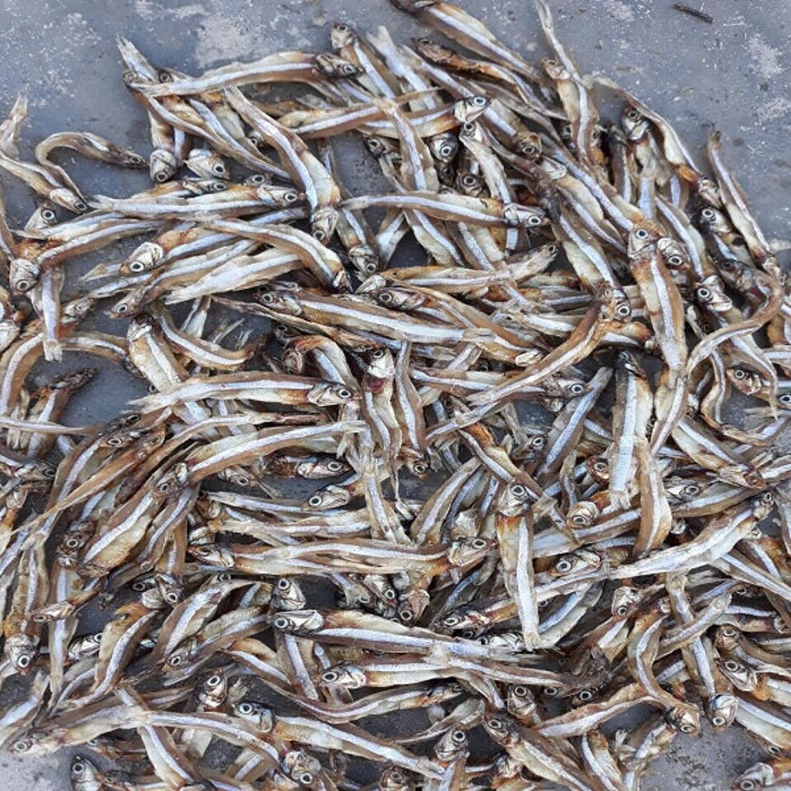 Natural Sun Dried Fresh Pure Sprats halmessa Chemical Free Dried 1kg ...