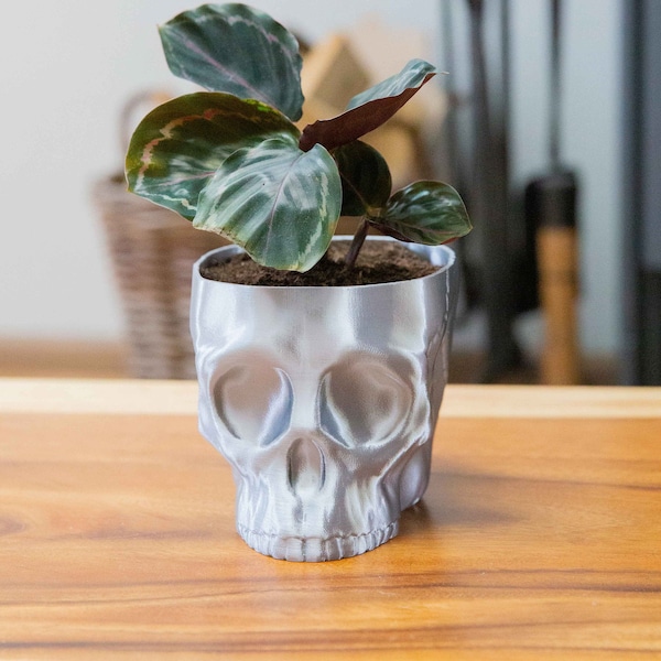 Skull Planter - Etsy