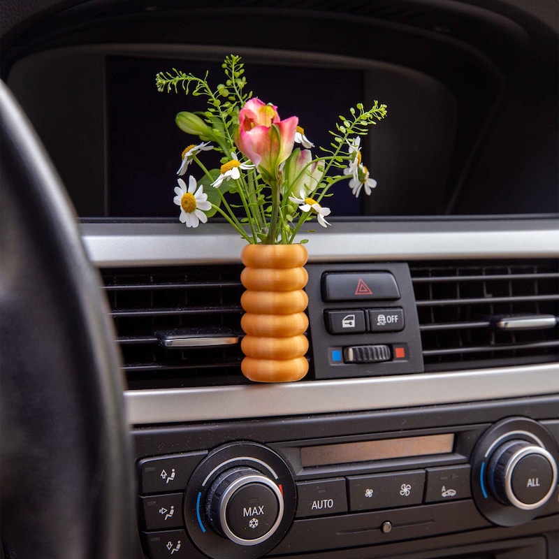 Air Plants in Black Vase - Etsy UK