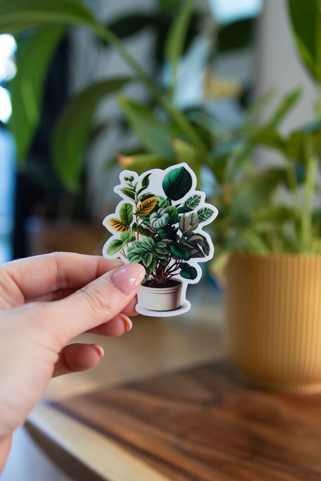 Plant Collection Sticker - 2.5x3 Inch - Waterproof Vinyl Decal - Etsy