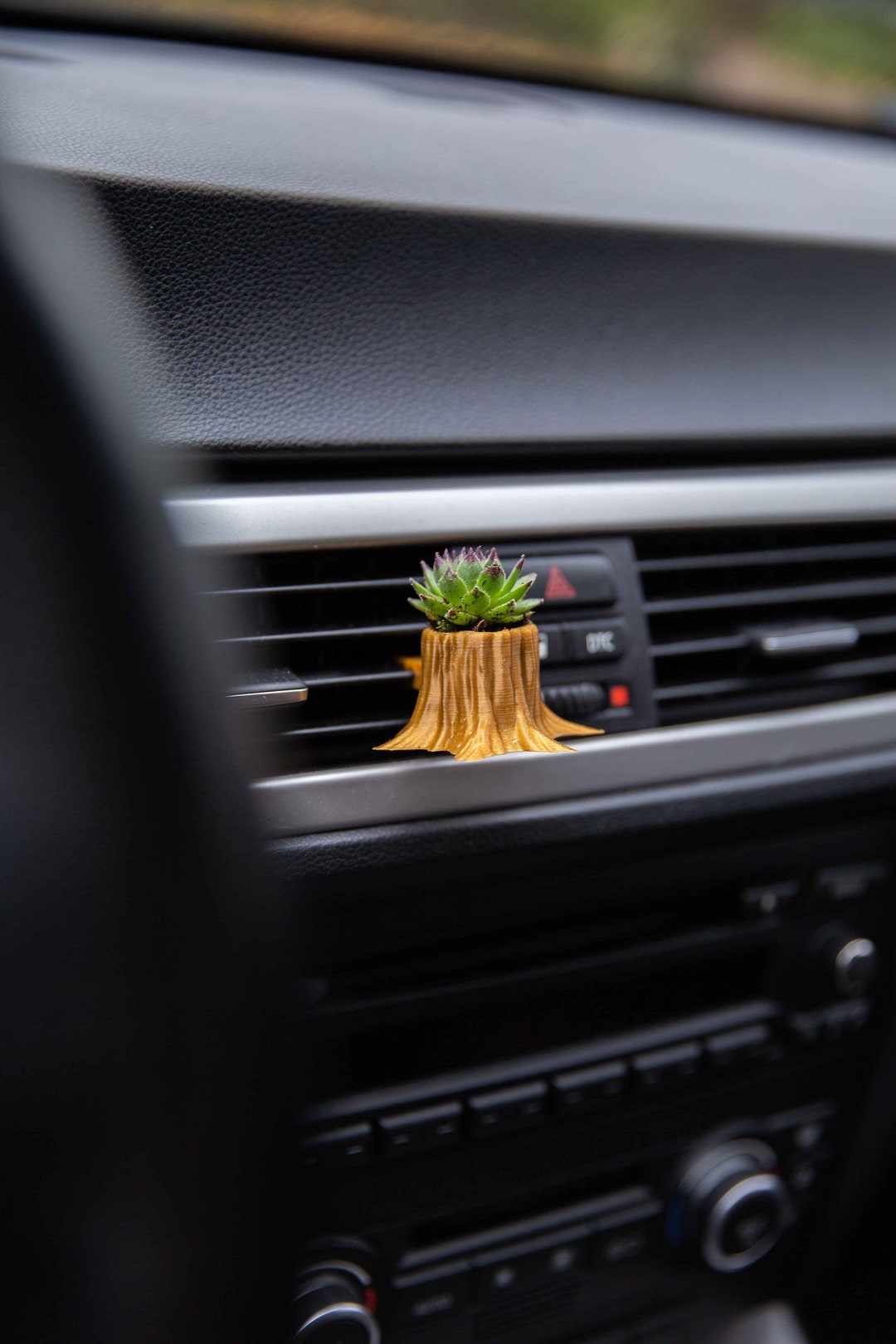 Cardening Car Planter - Cozy Boho Car Accessory for Women Natural Air ...