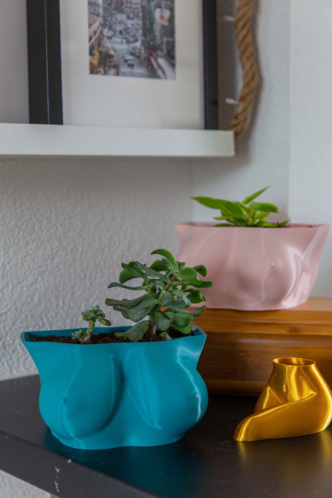 Boob Planter -all Cup Sizes! / Cup D / Tittie Pot / Nude Boobies Female ...