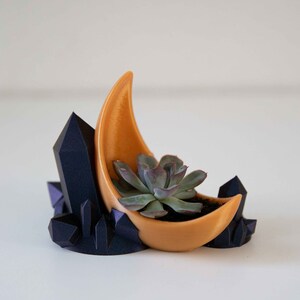 Moonstone Succulent Planter Moon Pot / Galaxy Art Holder / - Etsy