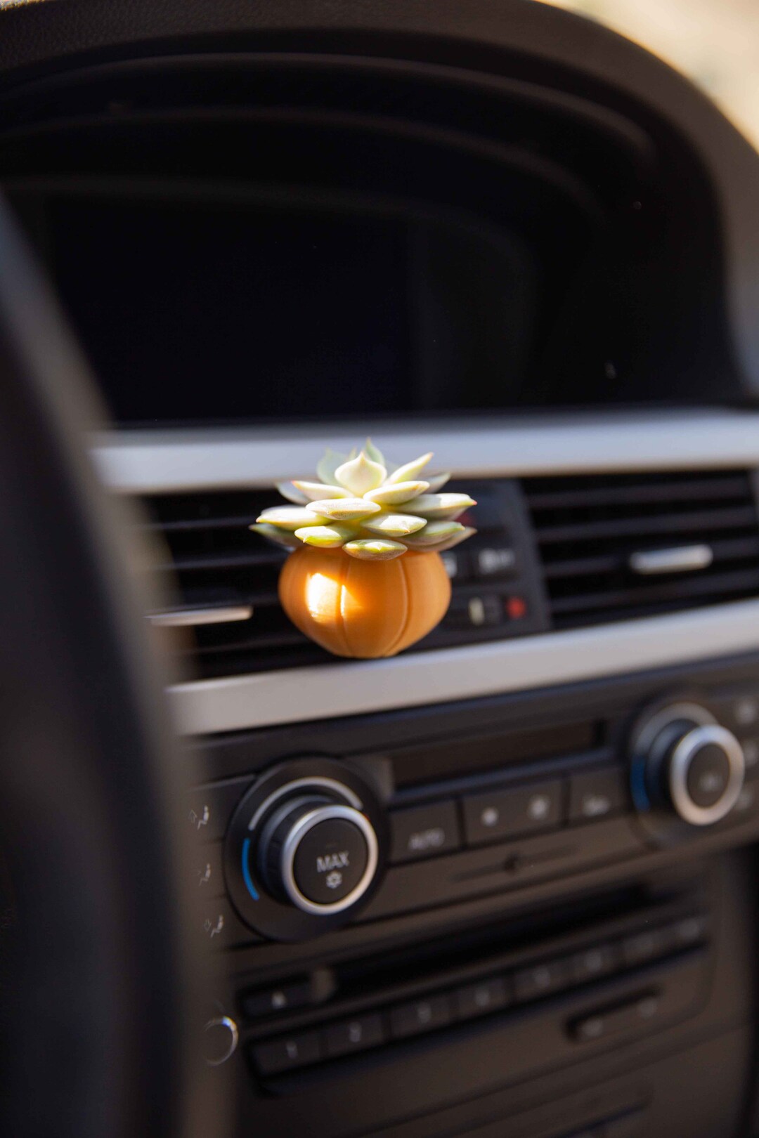 Cardening Car Planter - Cozy Boho Car Accessory for Women Natural Air ...