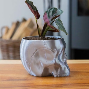 Halloween Skeleton Skull Planter - Spooky Home Decor - Drainage ...