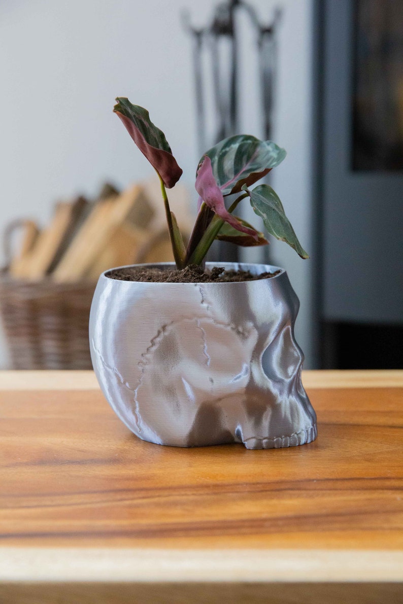 Halloween Skeleton Skull Planter - Spooky Home Decor - Drainage ...