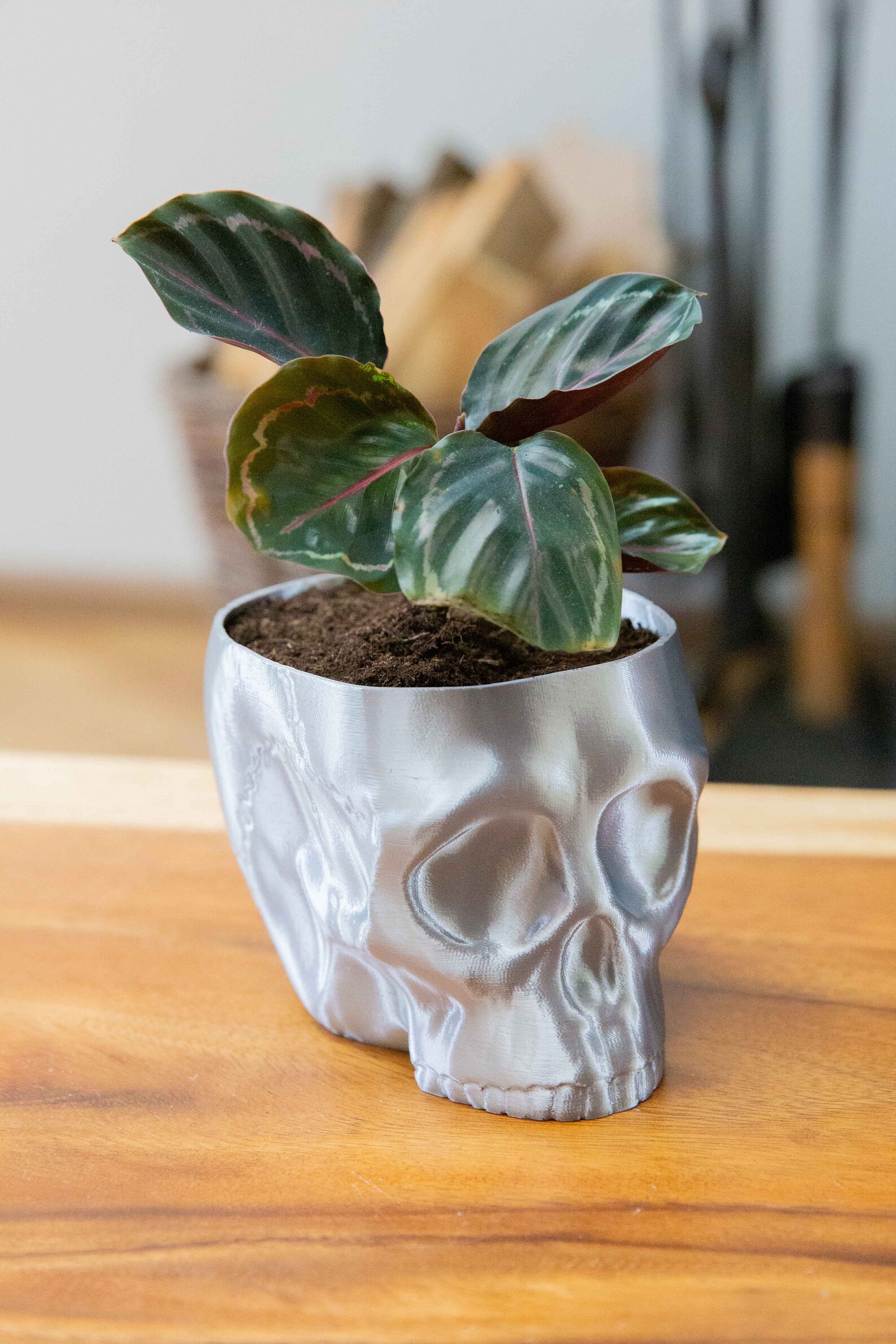 Halloween Skeleton Skull Planter - Spooky Home Decor - Drainage ...