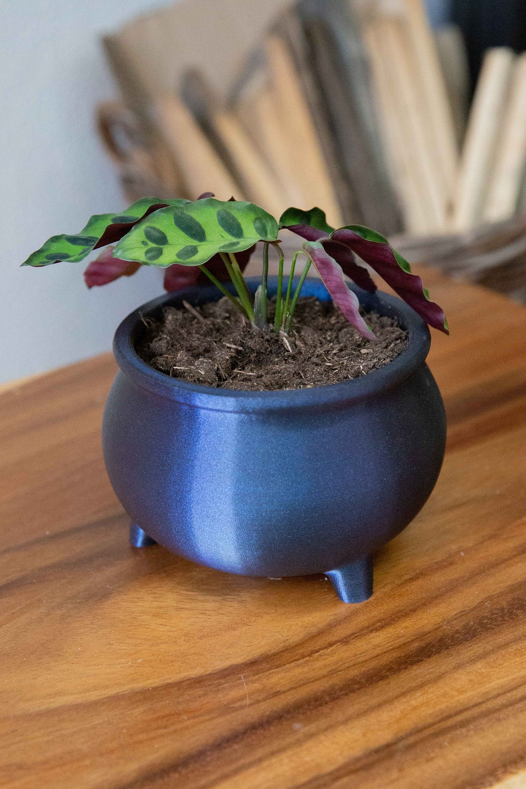 Halloween Witches' Cauldron Planter - Spooky Home Decor - Drainage ...