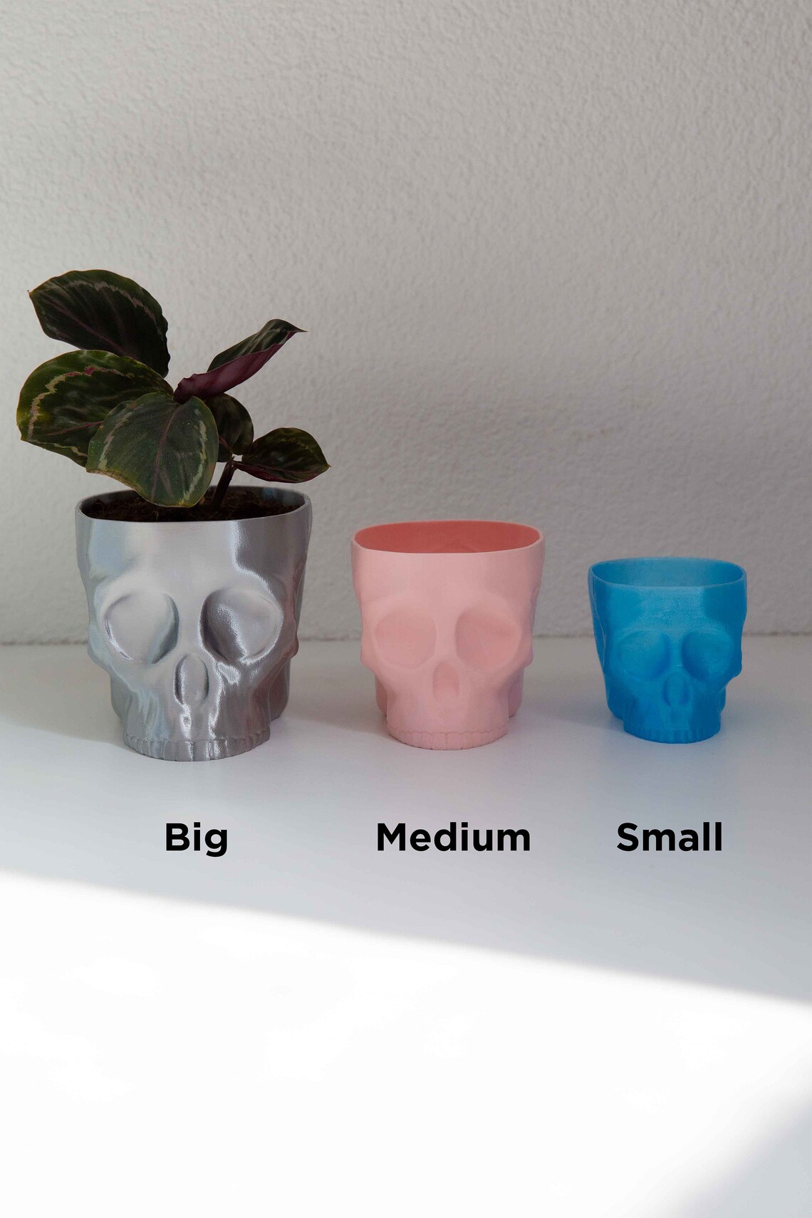 Halloween Skeleton Skull Planter - Spooky Home Decor - Drainage ...