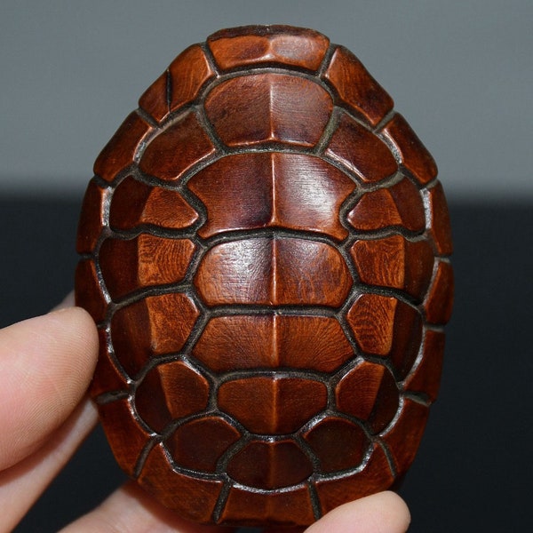 Tortoise Shell - Etsy