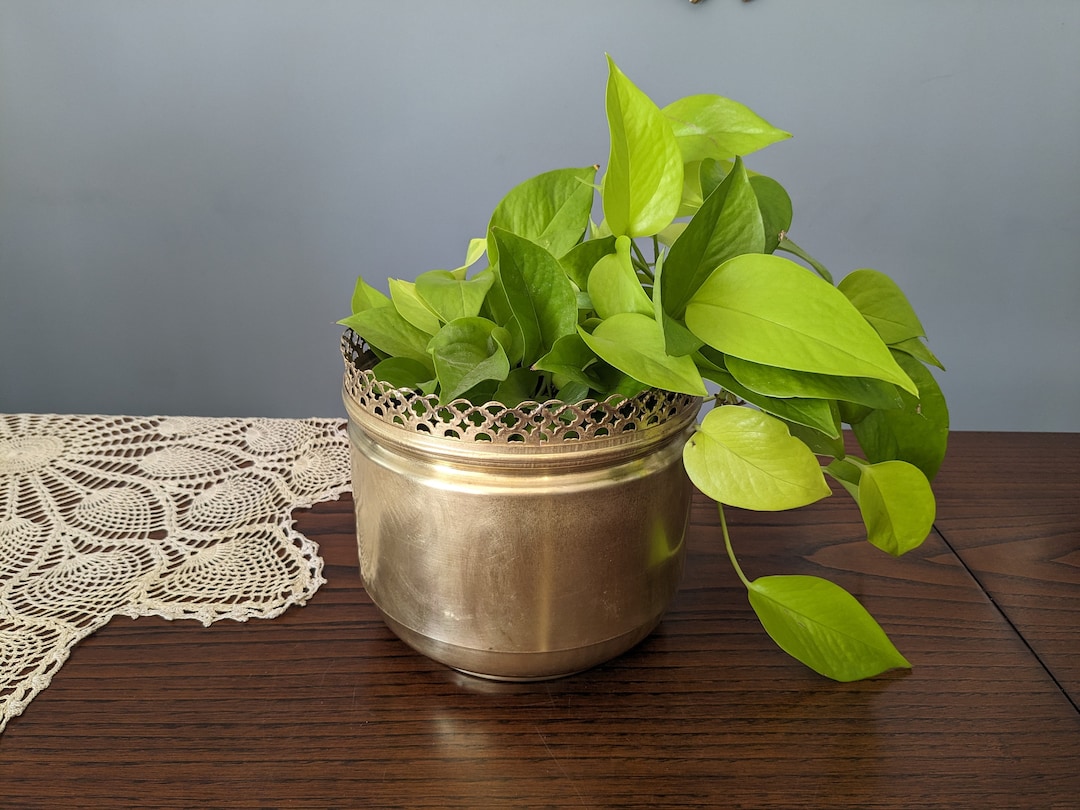 Vintage Brass Planter // Eclectic Brass Plant Pot // Grandmillenial ...