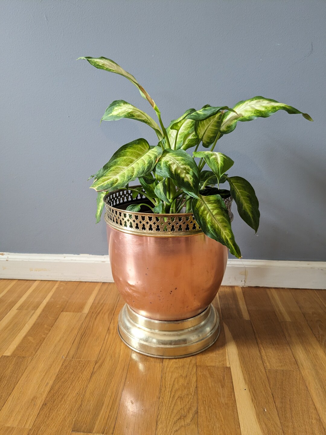 Large Copper and Brass Planter Pot // Rustic Round Copper Jardiniere ...