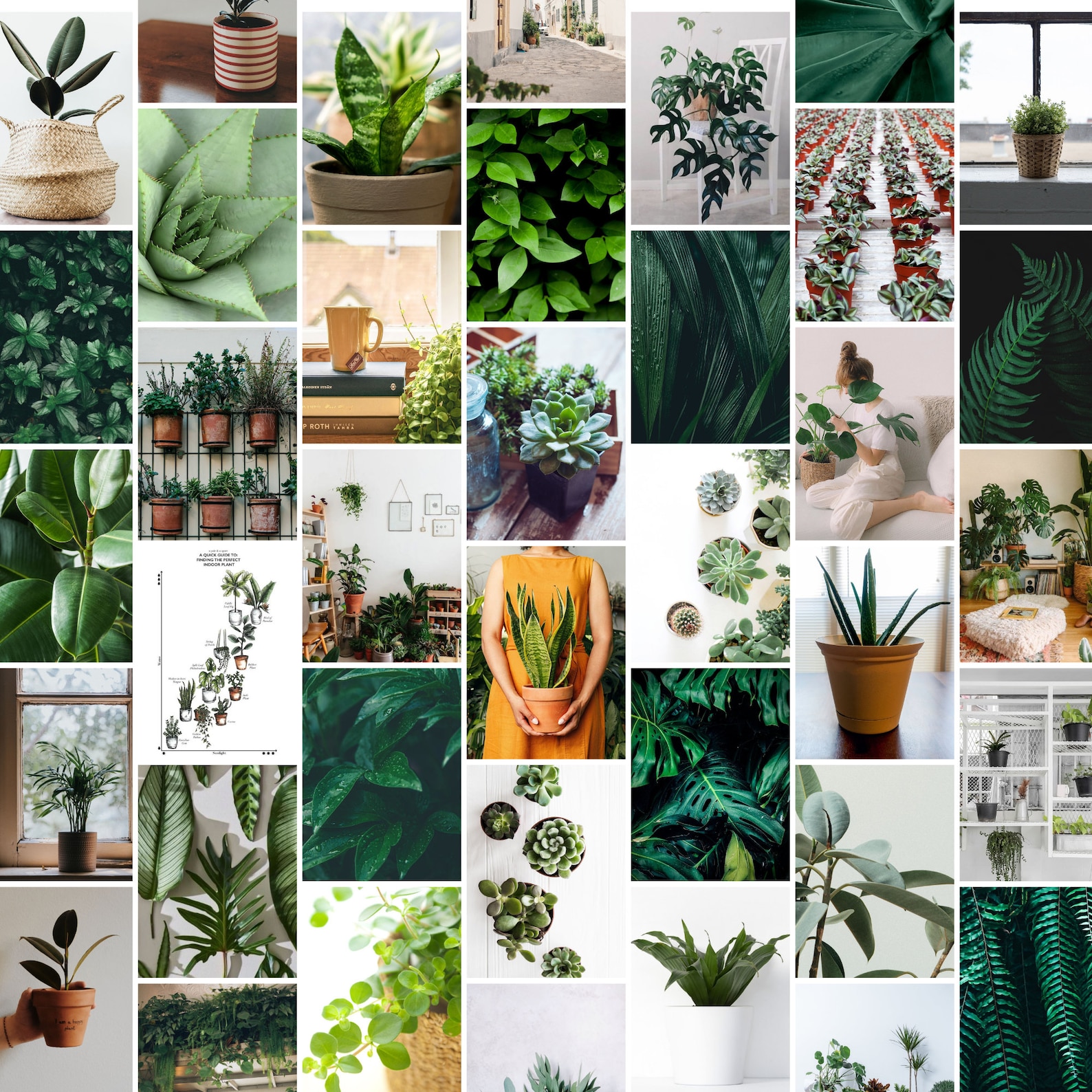 Mailed Aesthetic Plant Wall Collage Kit 40-100 photos Room | Etsy