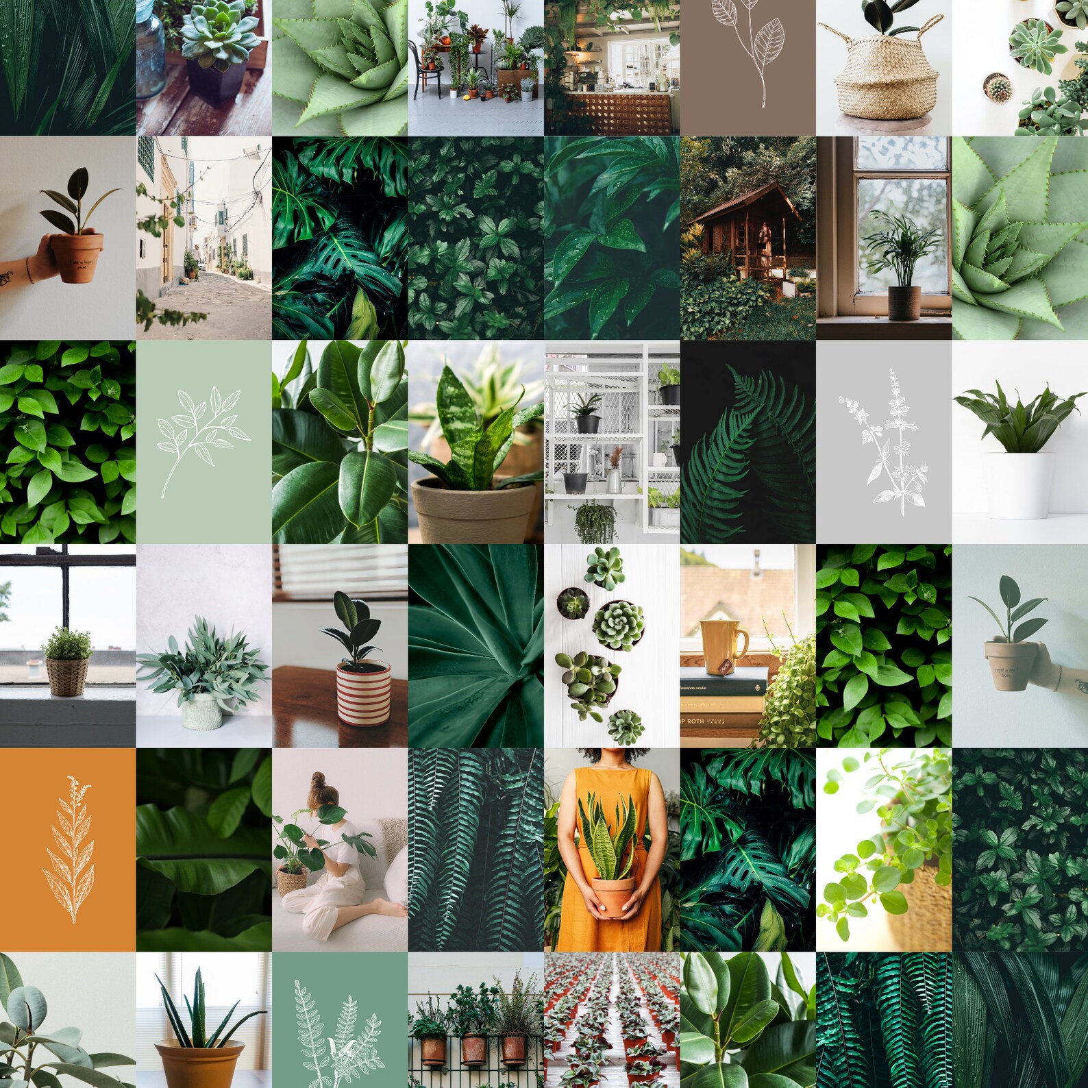 Mailed Aesthetic Plant Wall Collage Kit 40-100 photos Room | Etsy