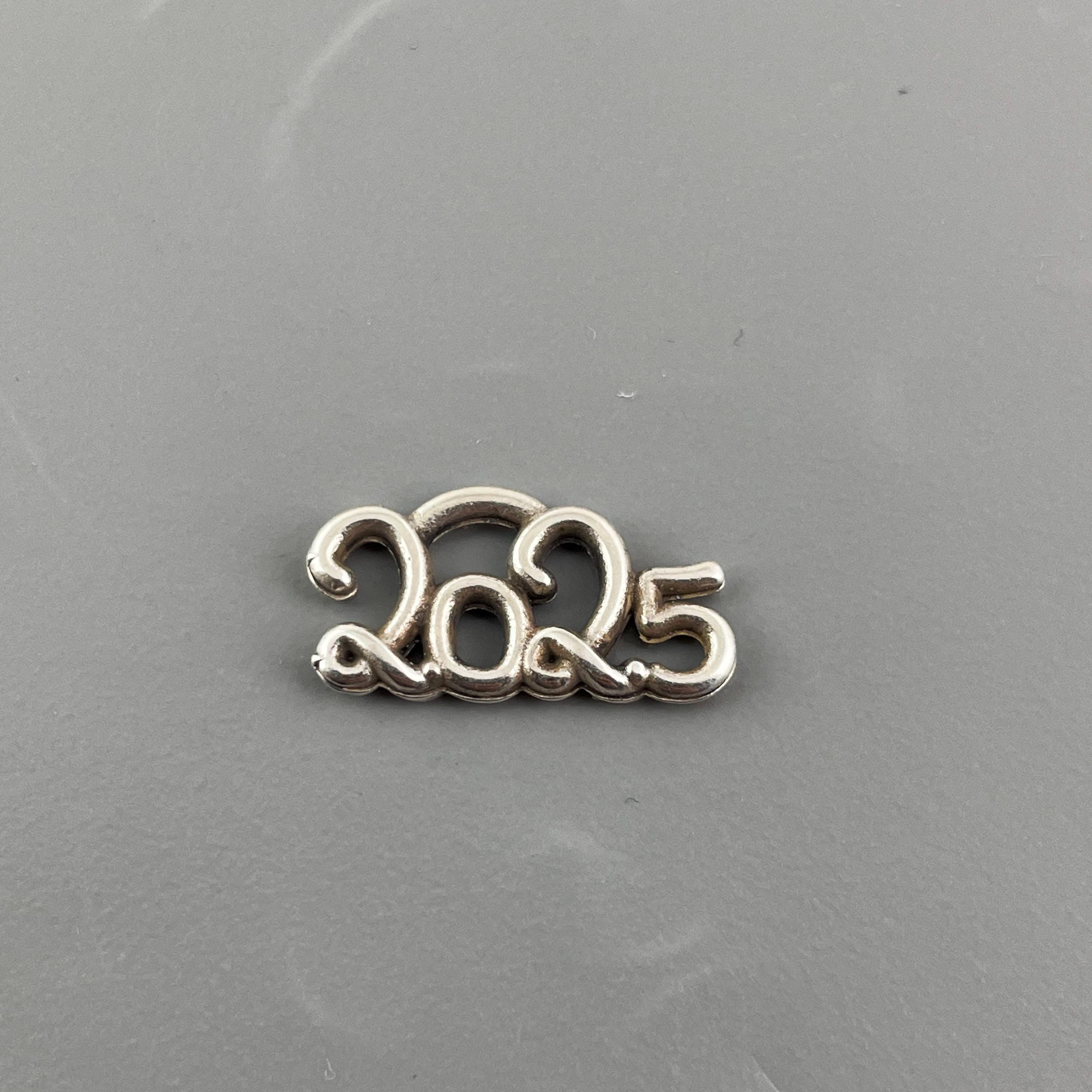 2025 Charm Bulk, New Year Charm Graduation Charm, 2025 Pendant ...