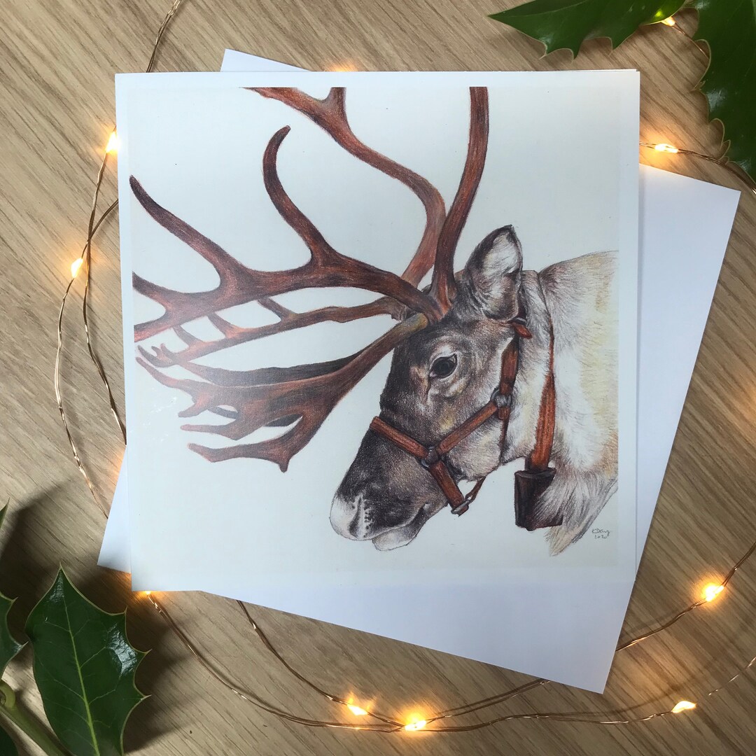 Reindeer Card / Reindeer Christmas Card / Reindeer Greetings Card ...