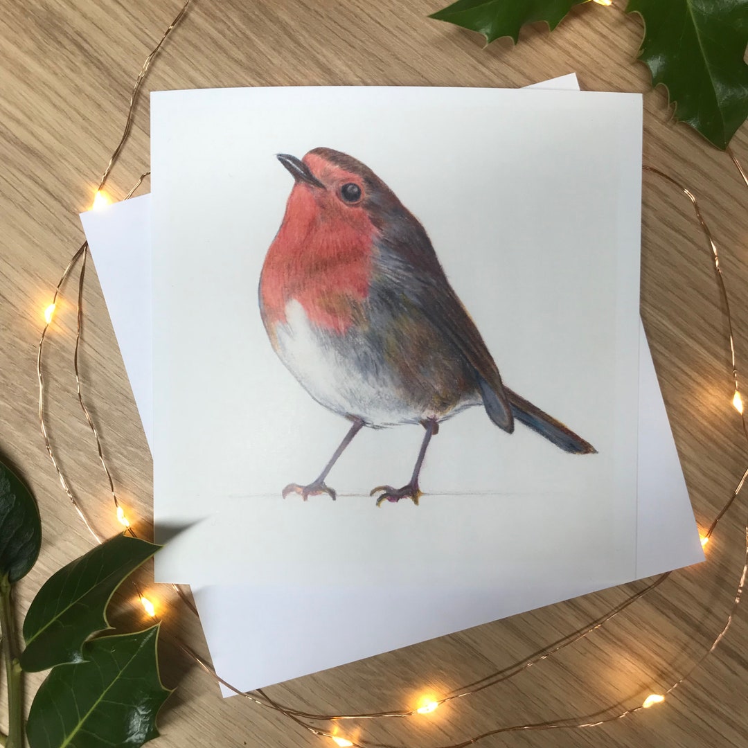 Robin Card / Robin Christmas Card / Robin Greetings Card / - Etsy