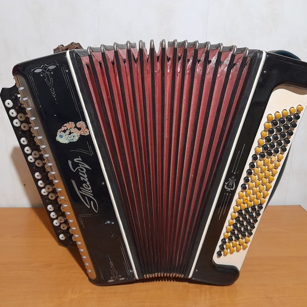 Bayan Accordion - Etsy