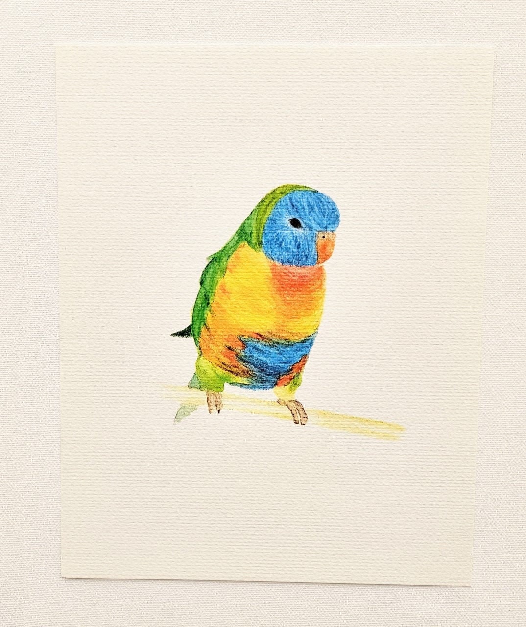 Buy Young Australian Rainbow Lorikeet, Native Australian Bird, Bird Art ...
