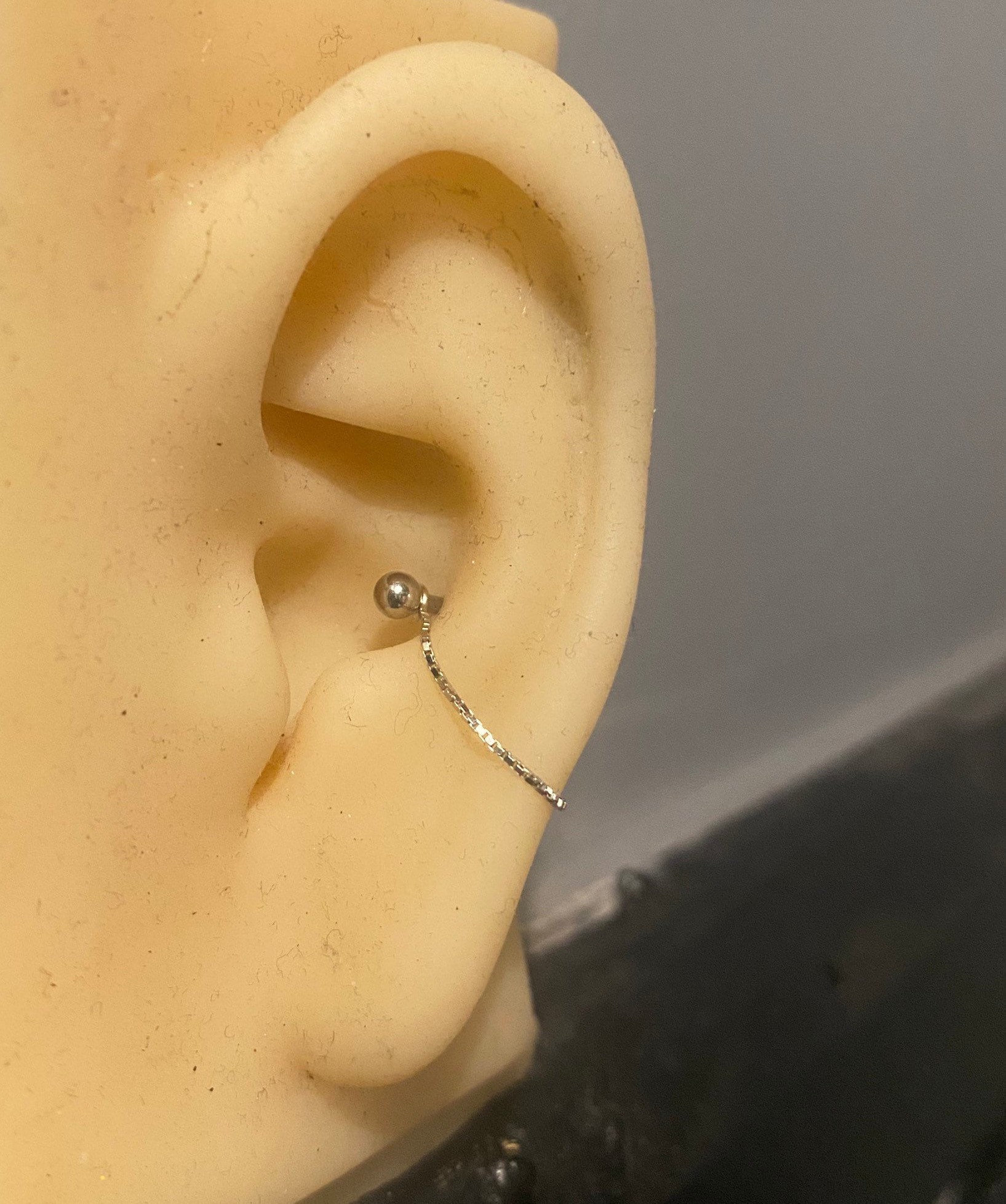 Conch Chainbox Chain Ear Piercing Chain Conch - Etsy