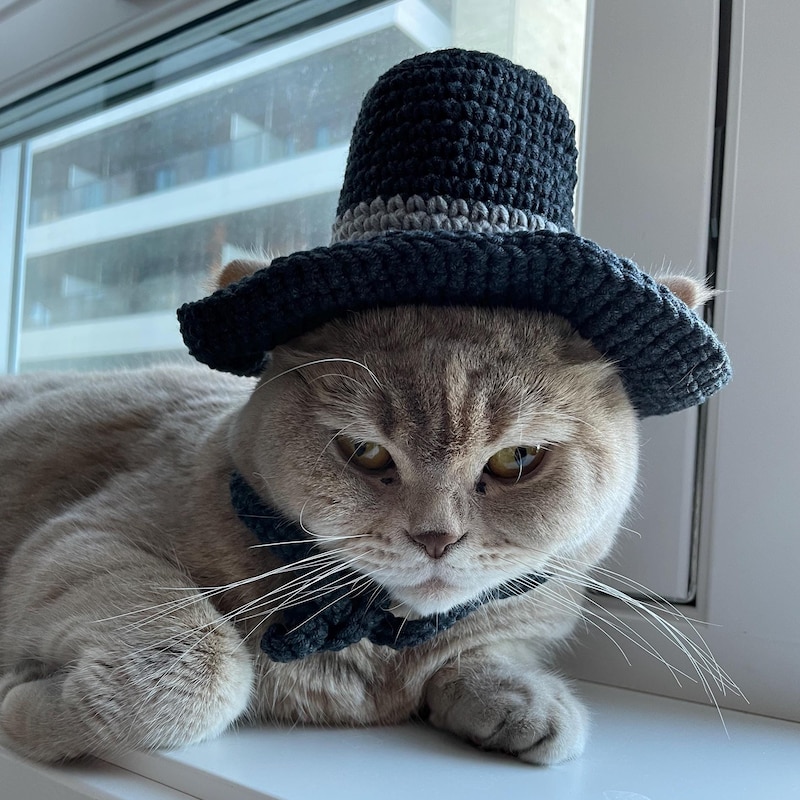 Cat Top Hat - Etsy