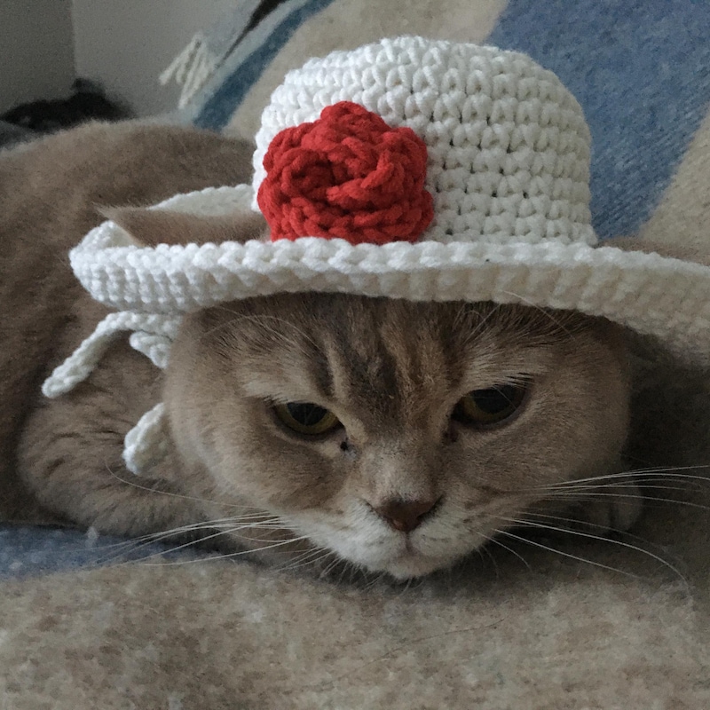 Crochet Cat Hat - Etsy