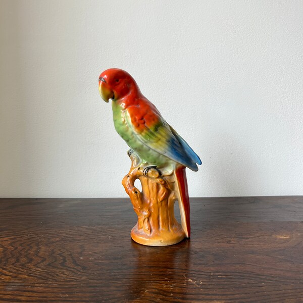 Parrot Decor - Etsy