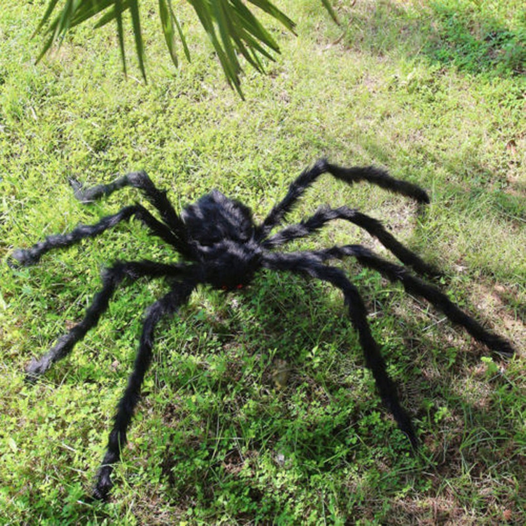 60 Inch Giant Spider Decoration Hairy Halloween Prop Haunted House ...