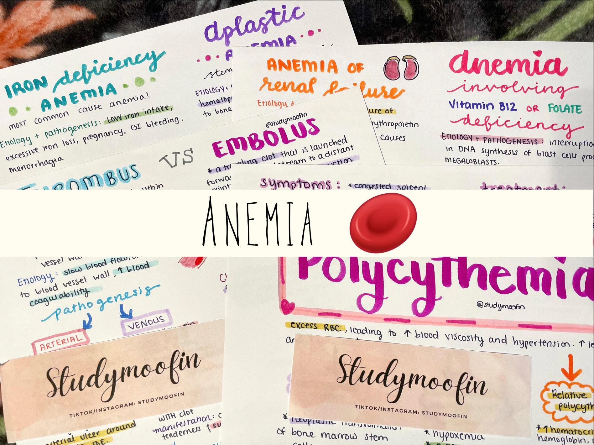 Pathophysiology Red Blood Cell Disorders Bundle With Knowledge Check - Etsy