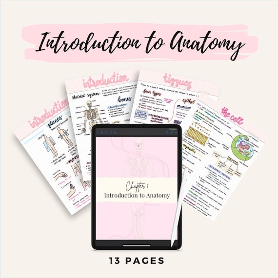 Introduction to Human Anatomy Notes Cells Tissues Bones - Etsy
