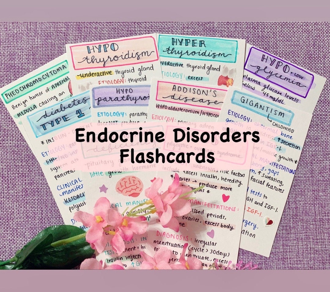 Pathophysiology Endocrine Disorders Digital Flashcards - Etsy