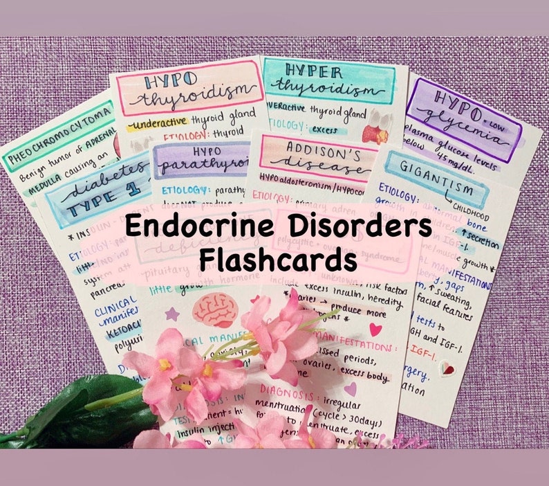 Pathophysiology Endocrine Disorders Digital Flashcards - Etsy
