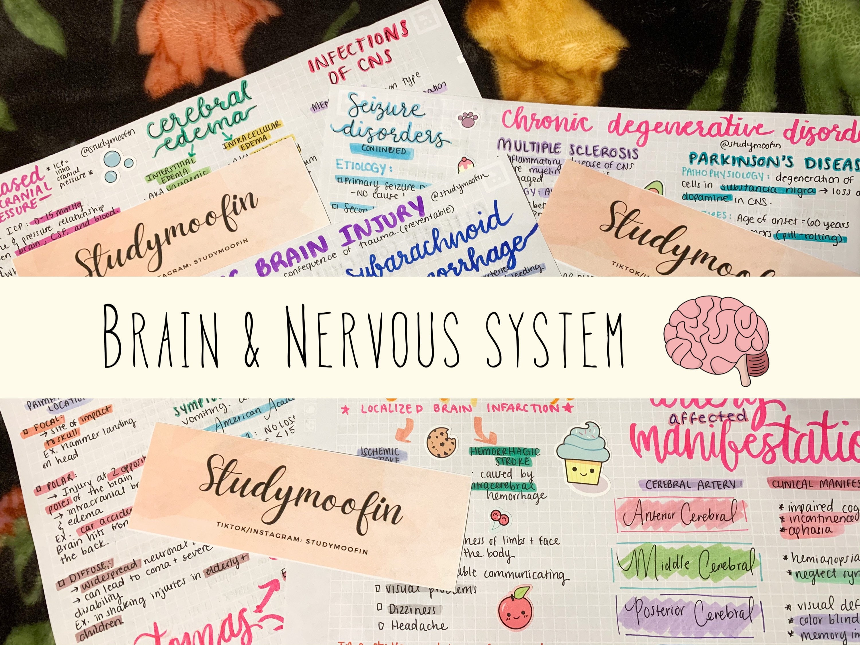 Pathophysiology Brain and Nervous System Disorders Bundle with | Etsy