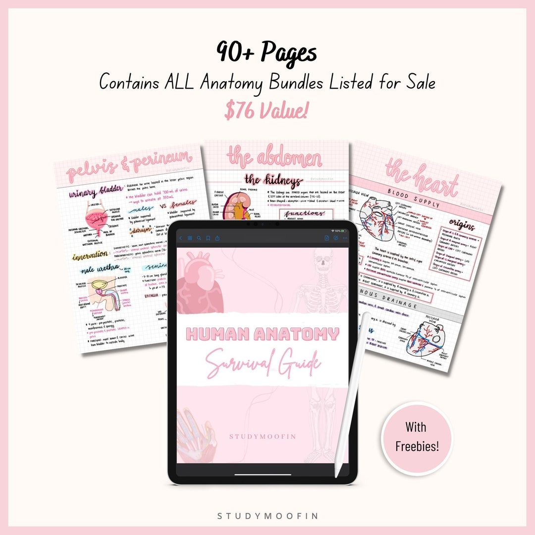 Human Anatomy Survival Guide | Anatomy Notes Bundle | Anatomy Study ...