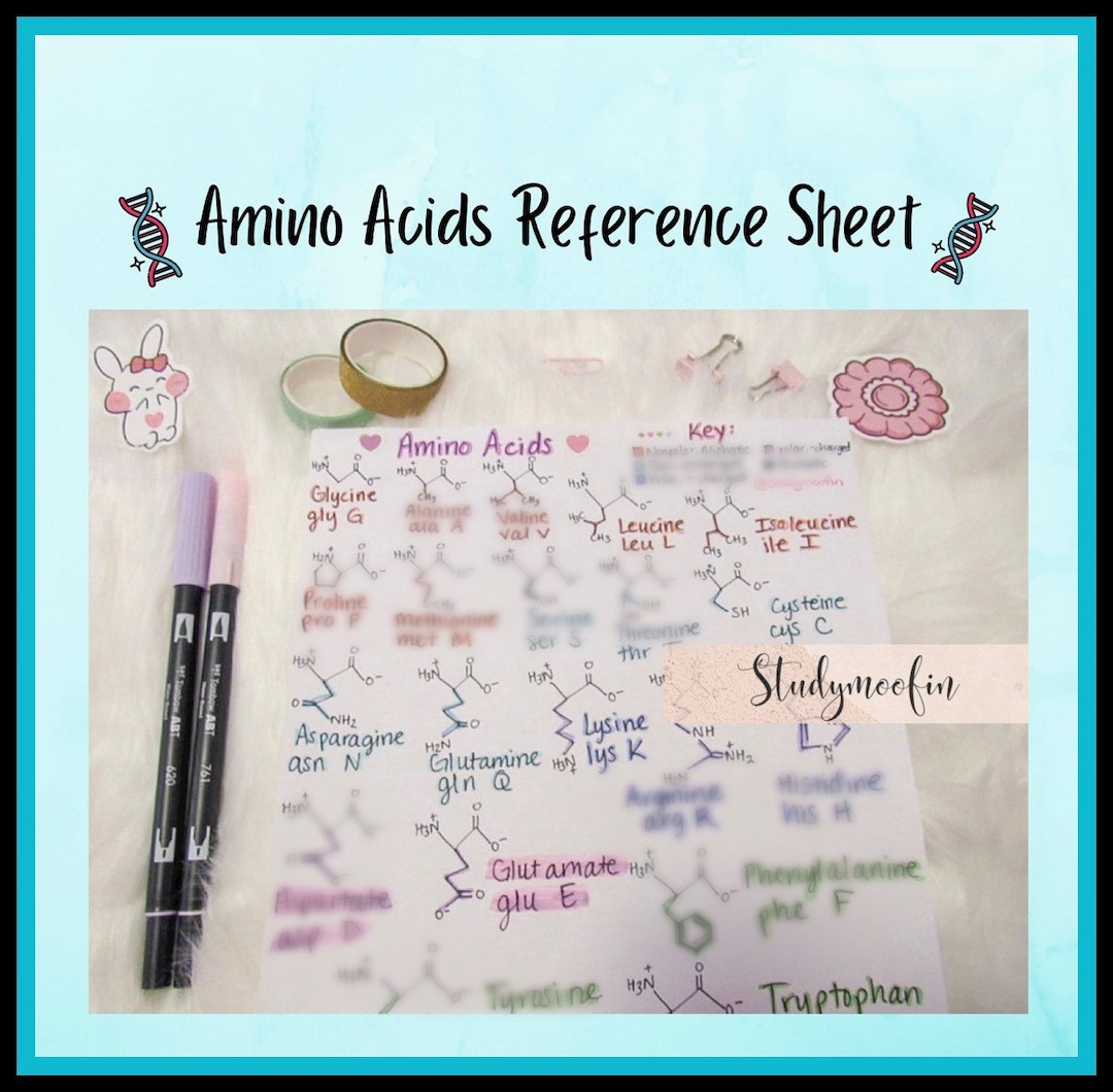 Biochemistry Amino Acids Reference Sheet - Etsy