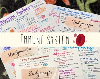 Immune System- Nursing Notes/ Concept Map- Pediatrics Semester - Etsy
