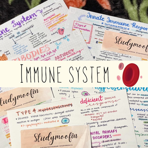 Nursing Notes - Etsy