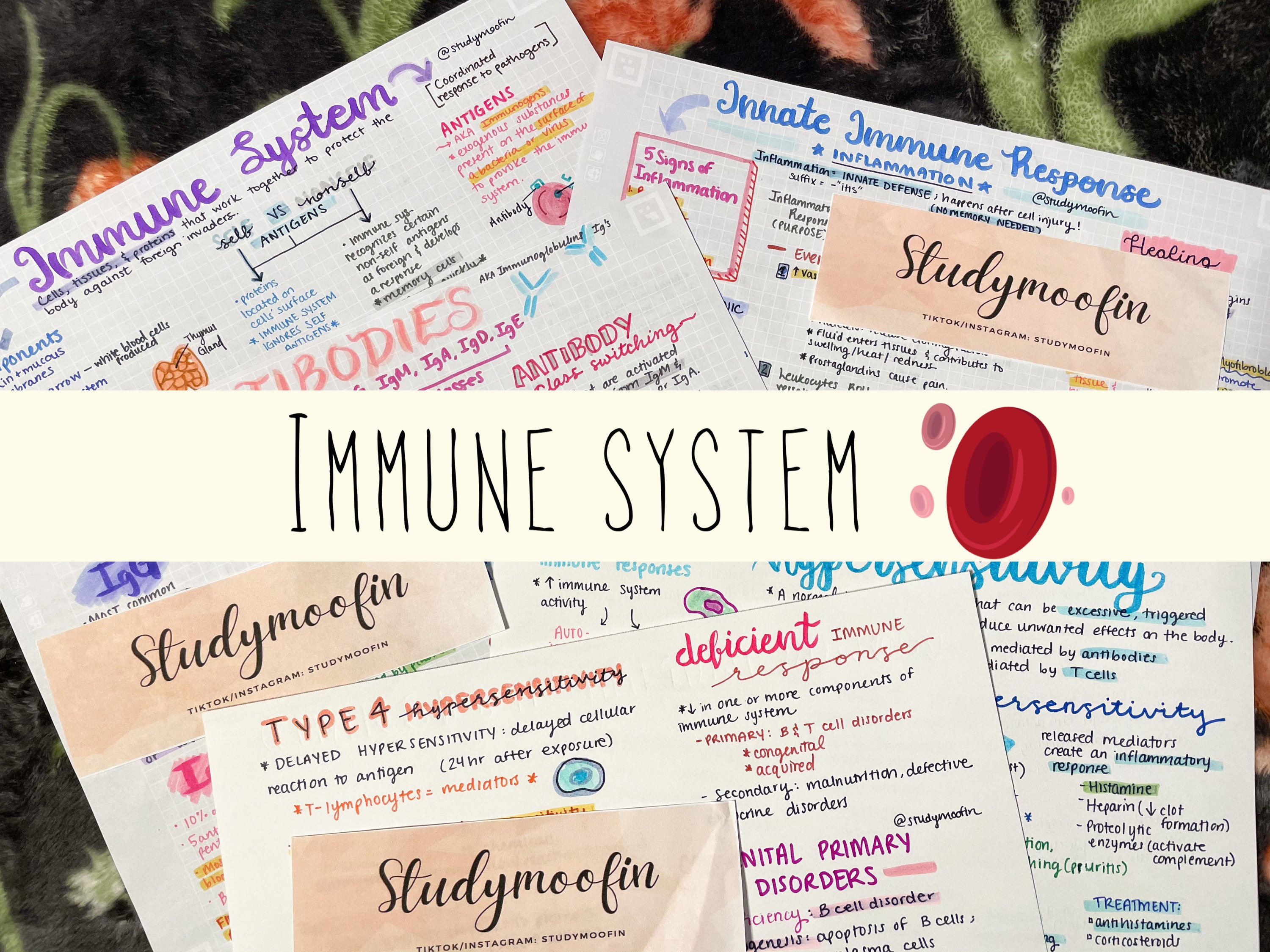 Pathophysiology Immune System Notes Bundle With Bonus Quiz - Etsy