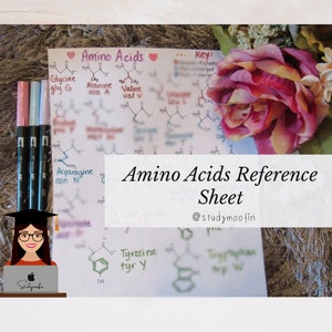 Biochemistry Amino Acids Reference Sheet - Etsy