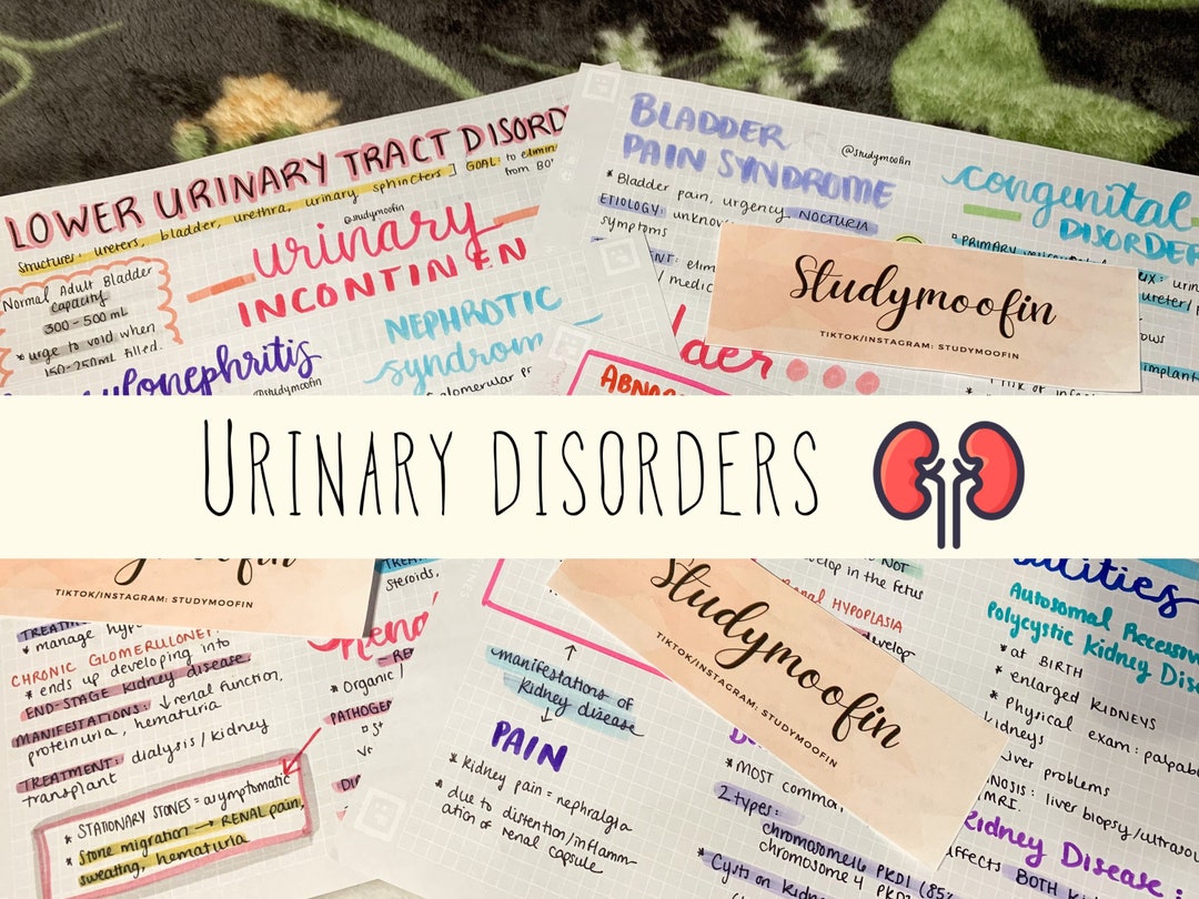 Pathophysiology Urinary Disorders Notes Bundle With Knowledge Check - Etsy