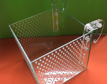 Mushroom Coral Box - Etsy