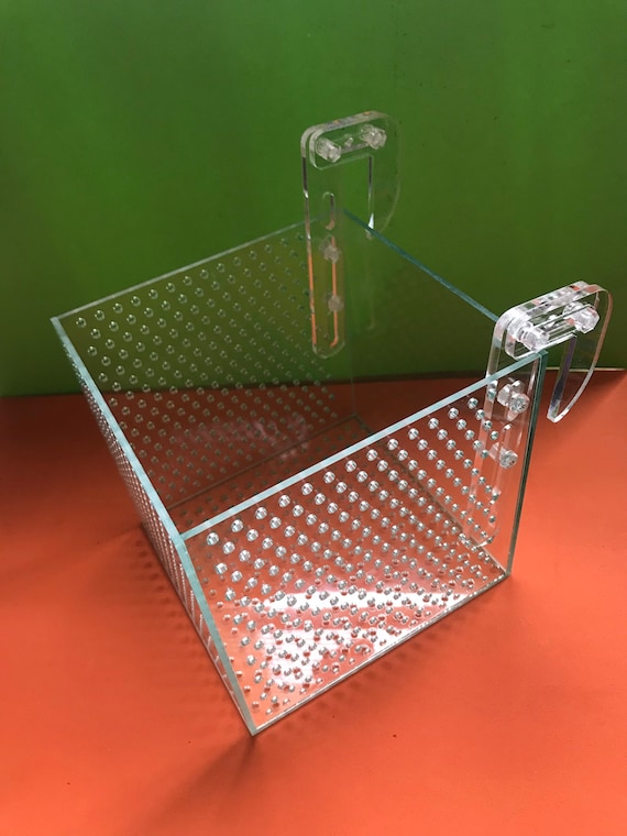 The Cube the Ultimate Anemone Coral Box Mushroom Box - Etsy