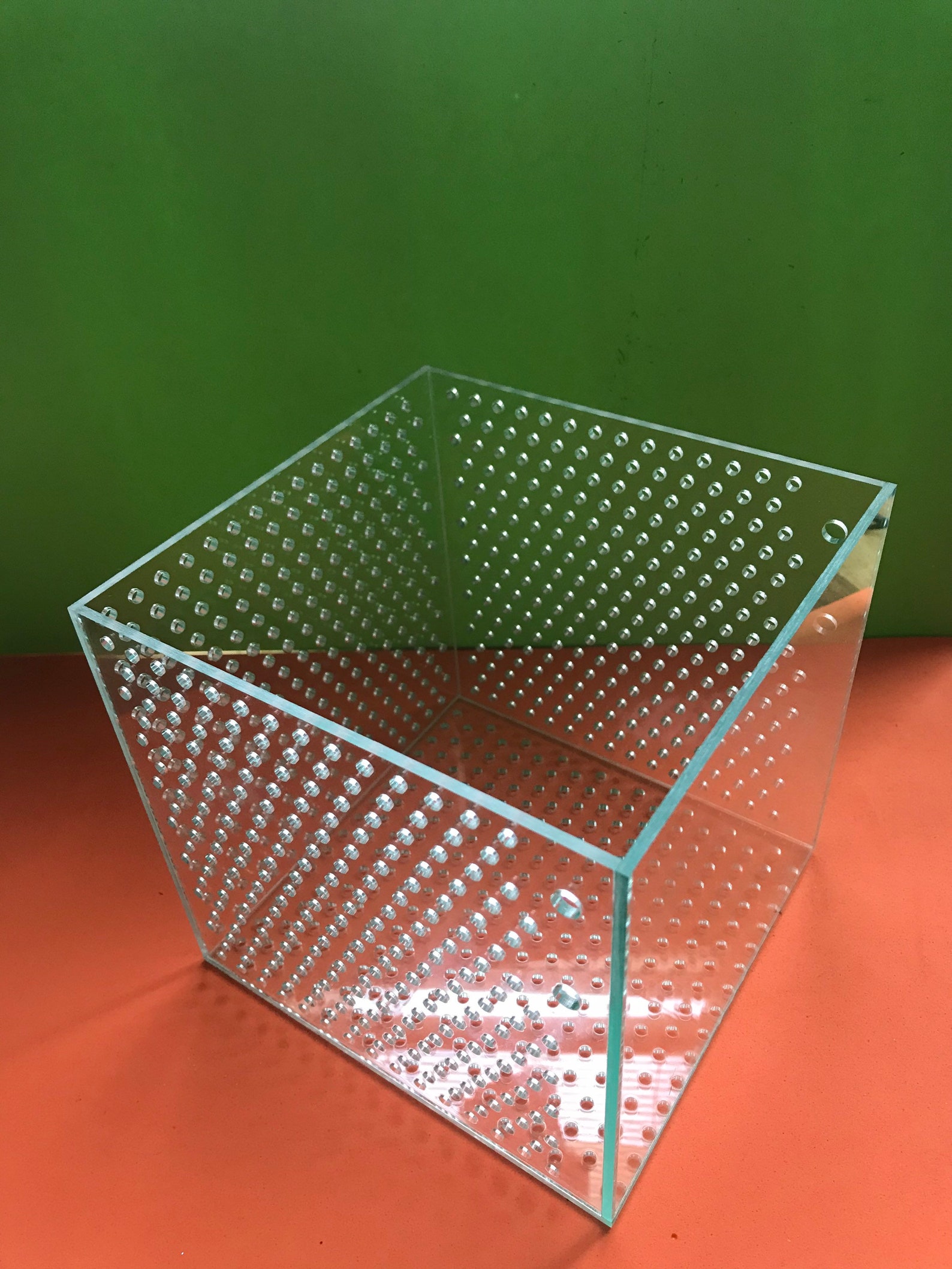 The Cube the Ultimate Anemone Coral Box Mushroom Box - Etsy