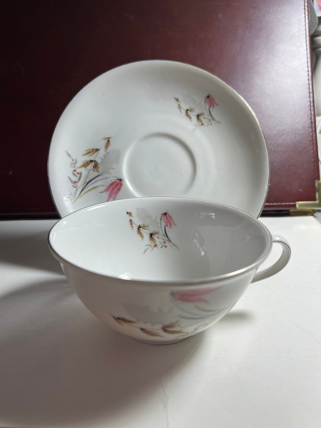 Royal Duchess Mountain Belle Cup and Saucer Bavaria,germany - Etsy