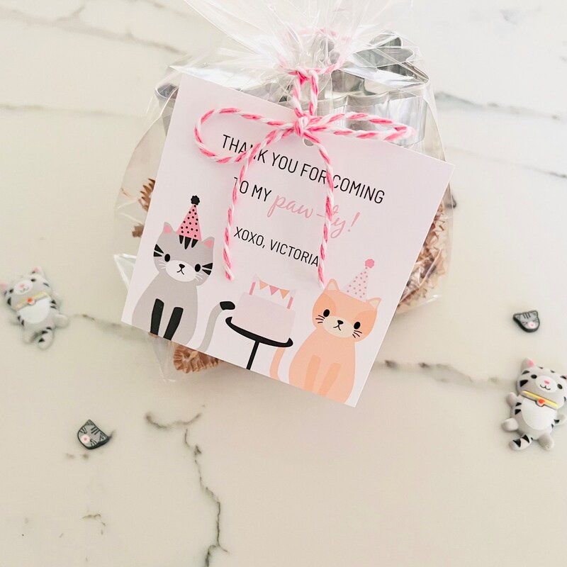 Cat Birthday Party Favors - Etsy