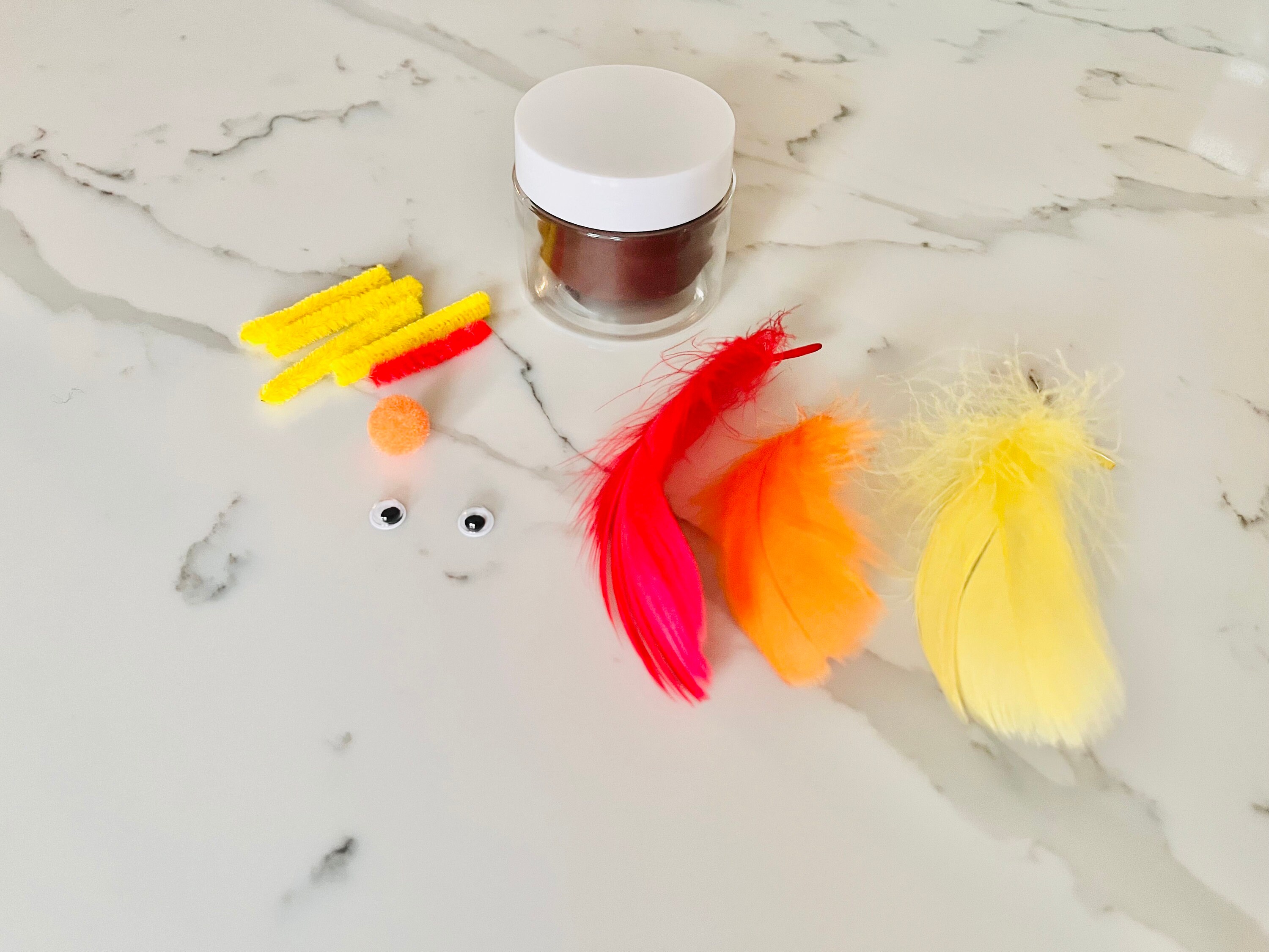 Thanksgiving Turkey Kits, Build Your Own Turkey Kit, Thanksgiving Treat ...