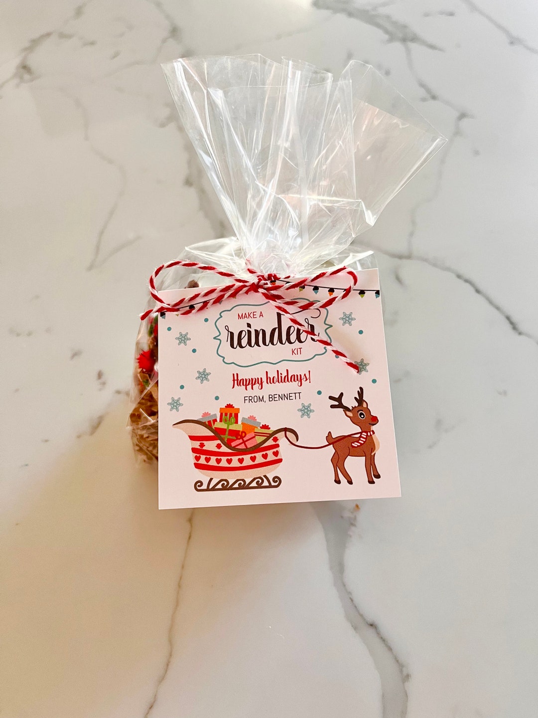 Make a Reindeer Kit, Christmas Gift, Party Favor, Holiday Class Gift ...