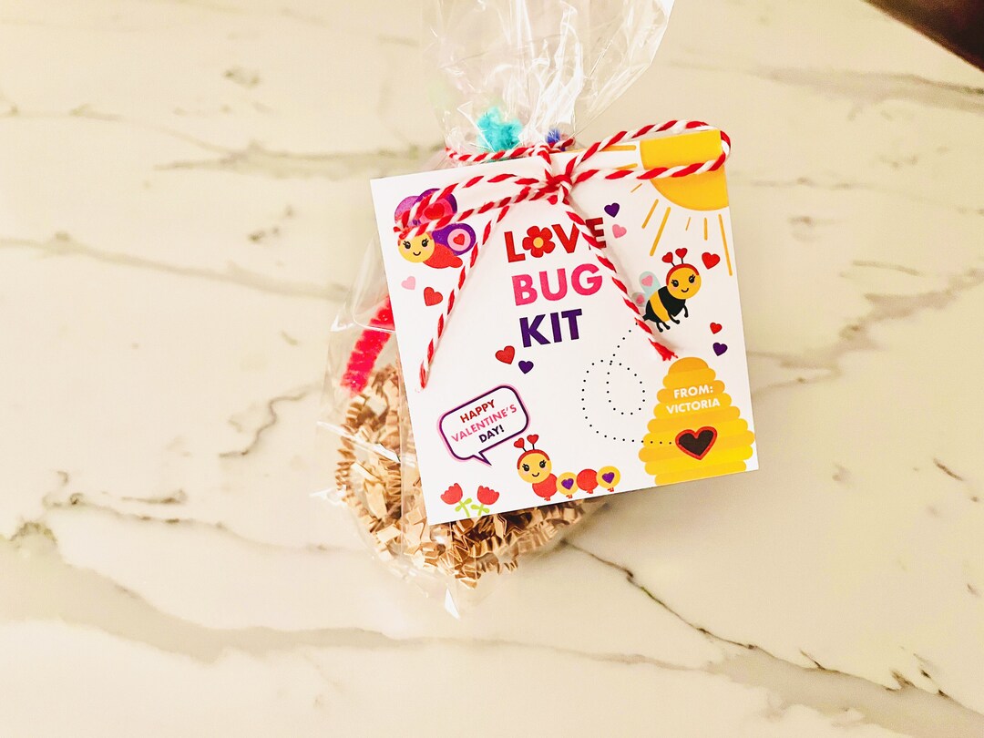 Make a Love Bug Kit, Valentine's Day Modeling Clay Kit, Valentine Kids ...