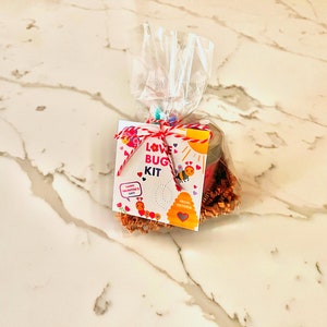 Make a Love Bug Kit, Valentine's Day Modeling Clay Kit, Valentine Kids ...