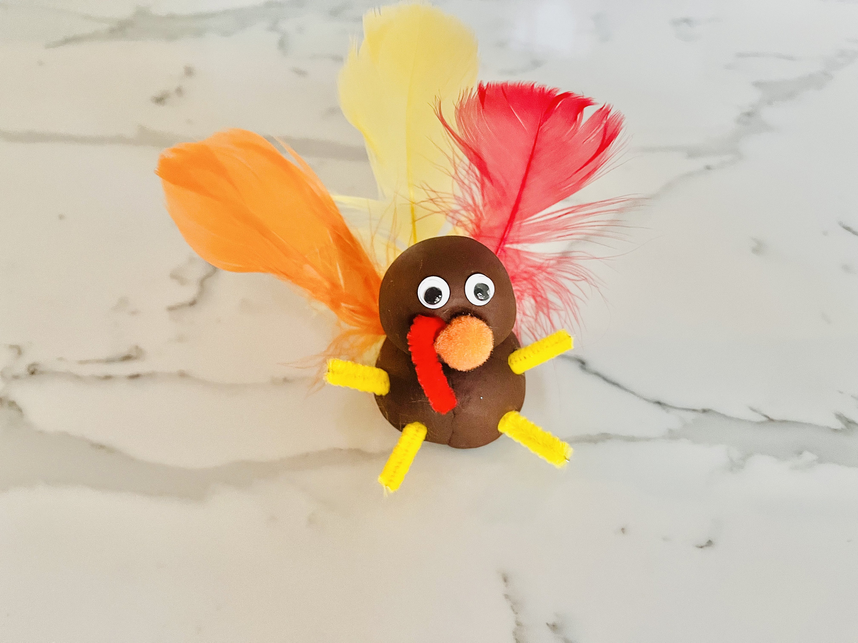 Thanksgiving Turkey Kits, Build Your Own Turkey Kit, Thanksgiving Treat ...